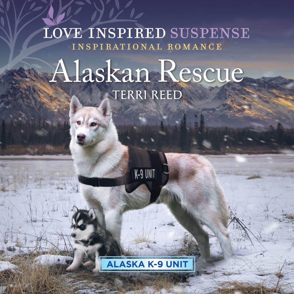 Alaskan Rescue by Terri Reed - Audiobook