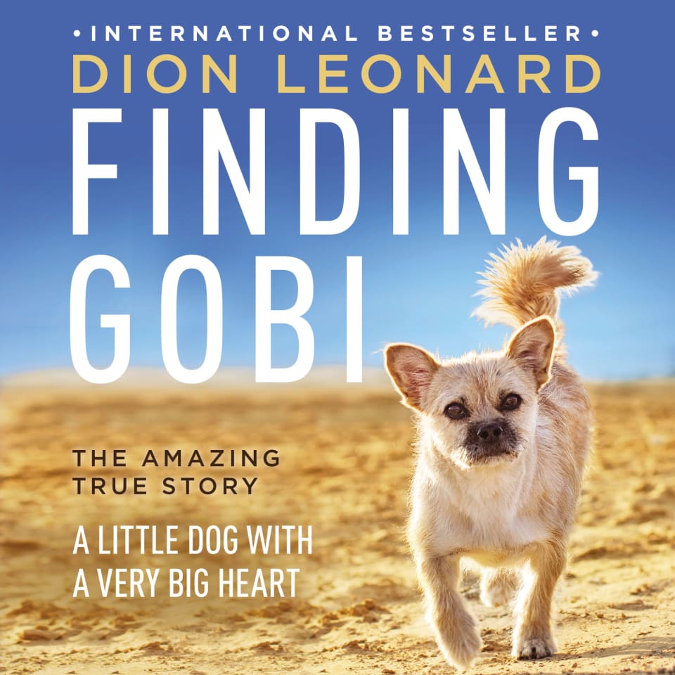 Finding Gobi by Dion Leonard - Audiobook