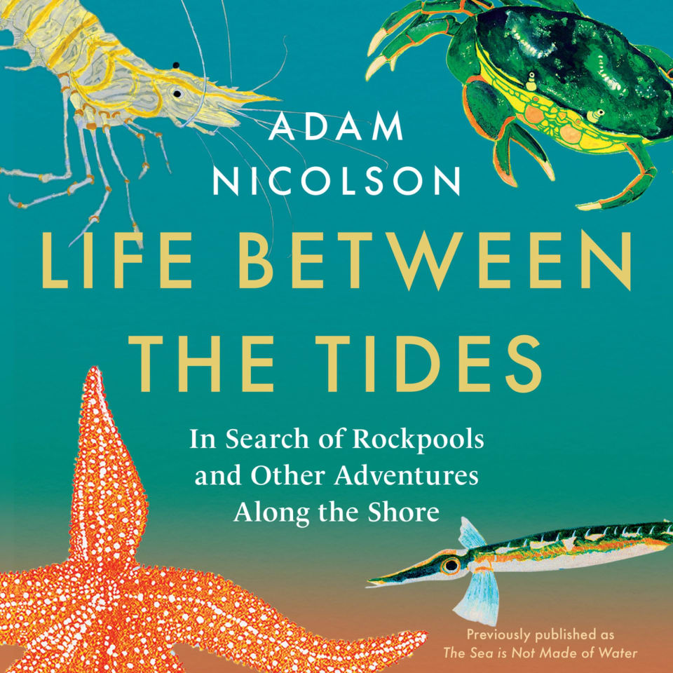 Life Between the Tides: In Search of Rockpools and Other Adventures ...