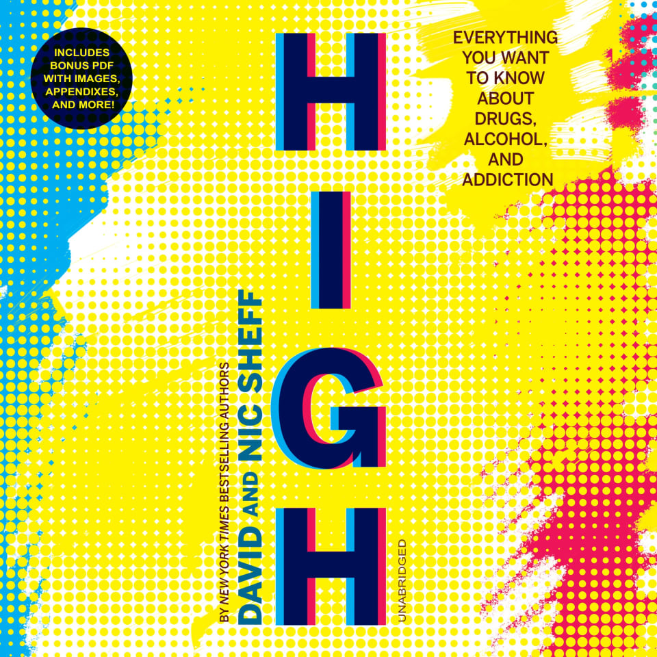 High by David Sheff & Nic Sheff - Audiobook