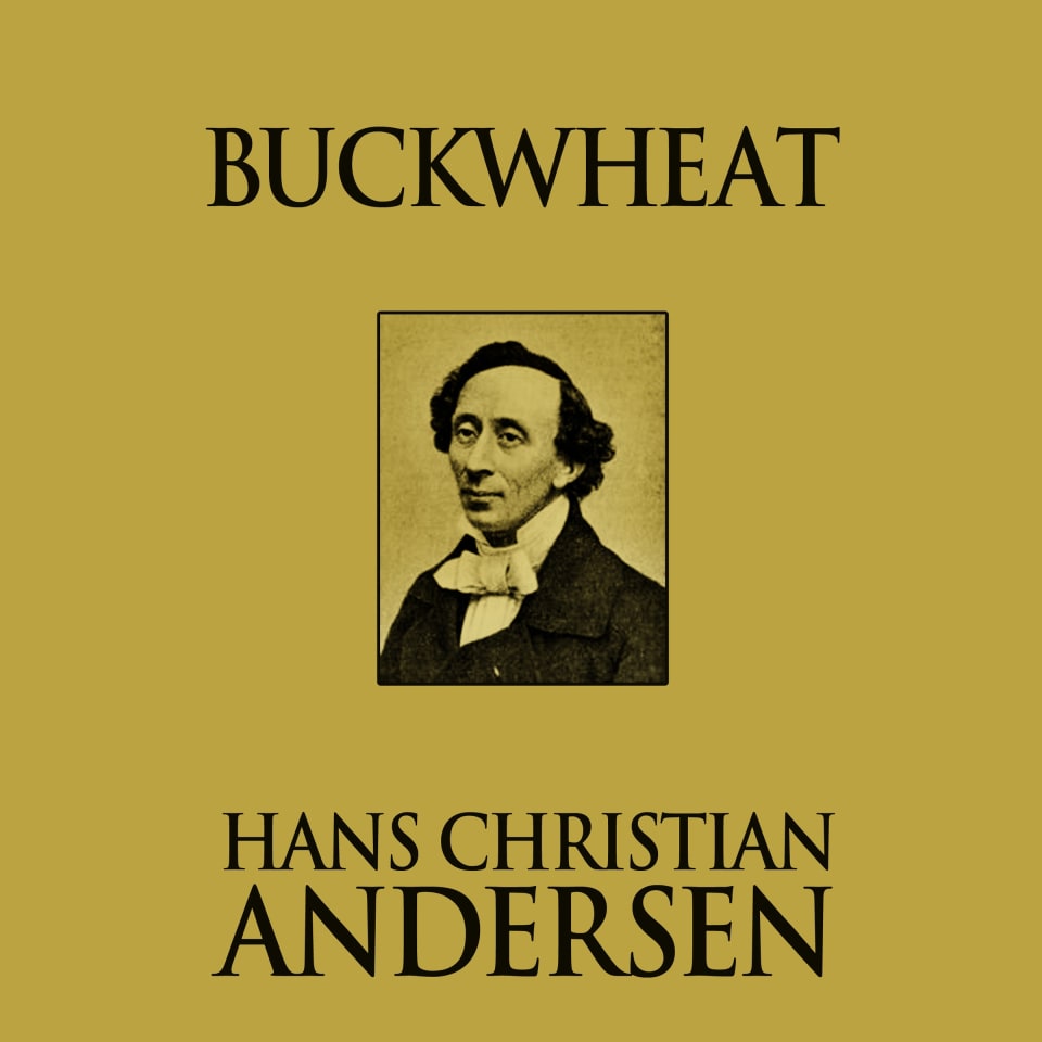 Buckwheat by Hans Christian Andersen - Audiobook (No Subscription)