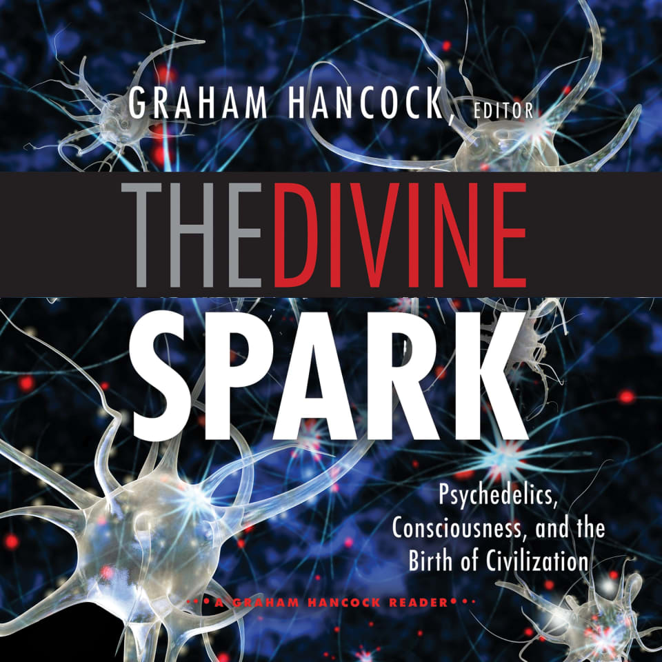 The Divine Spark by Graham Hancock - Audiobook