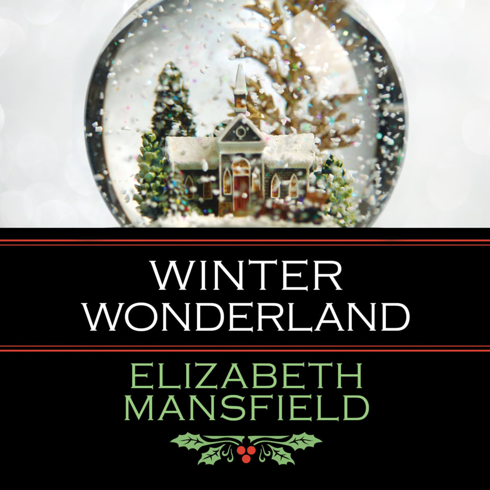 Winter Wonderland by Elizabeth Mansfield - Audiobook