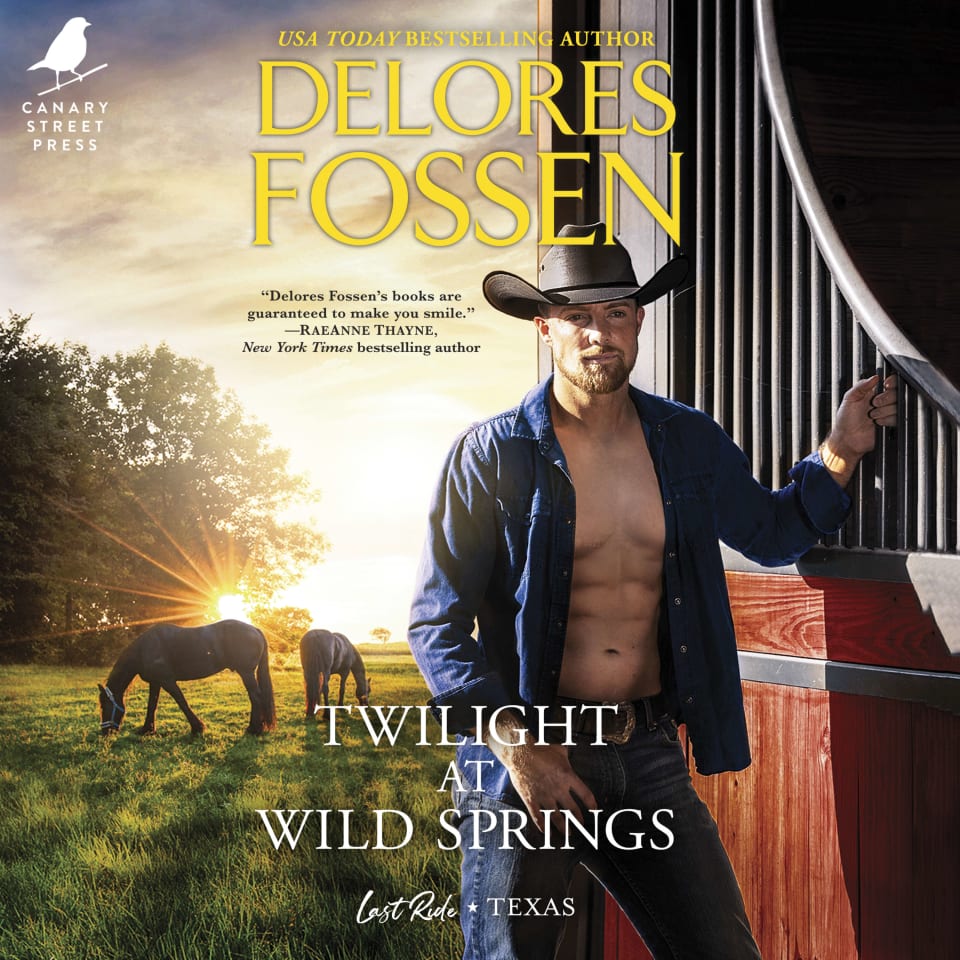 Twilight at Wild Springs by Delores Fossen - Audiobook