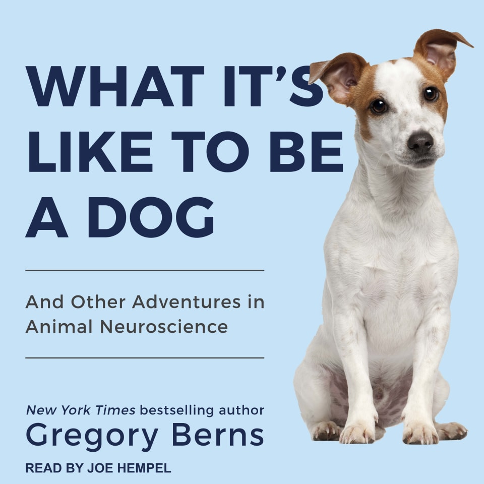 What It's Like to Be a Dog by Gregory Berns - Audiobook
