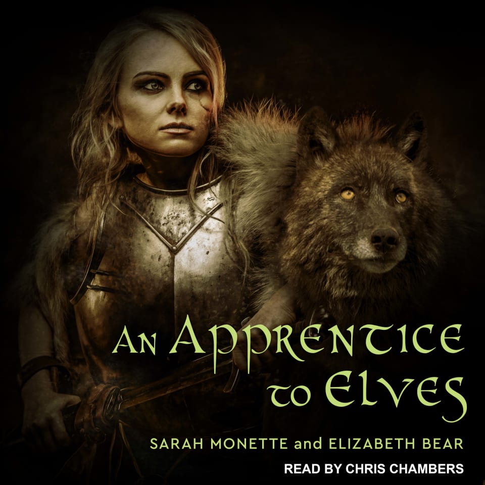 An Apprentice to Elves by Elizabeth Bear & Sarah Monette - Audiobook