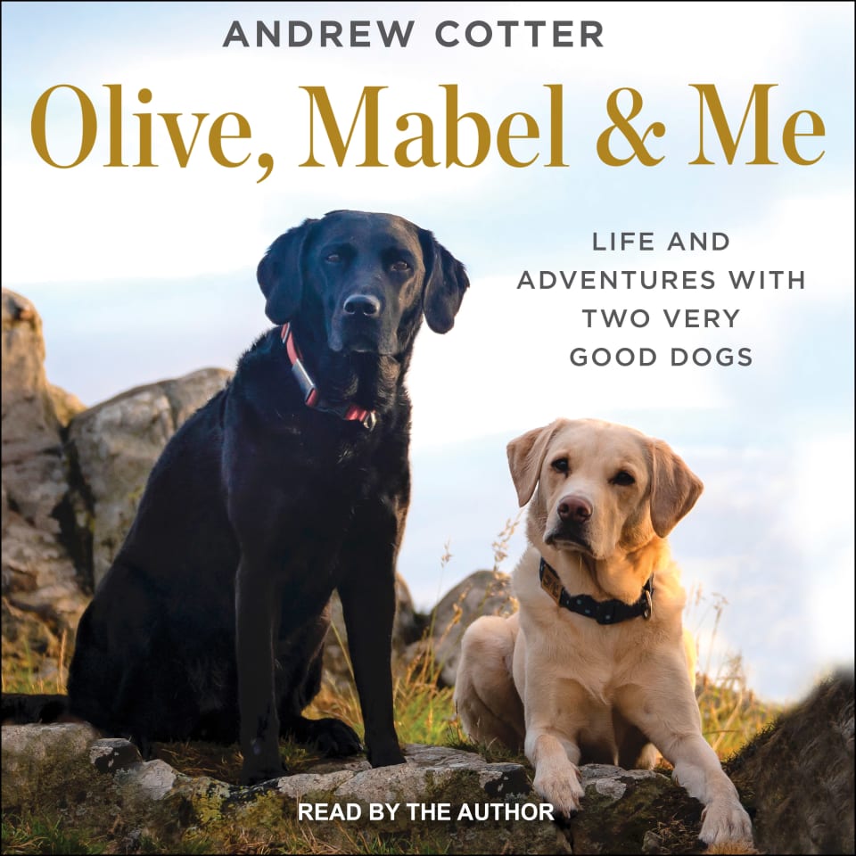 Olive, Mabel & Me by Andrew Cotter - Audiobook
