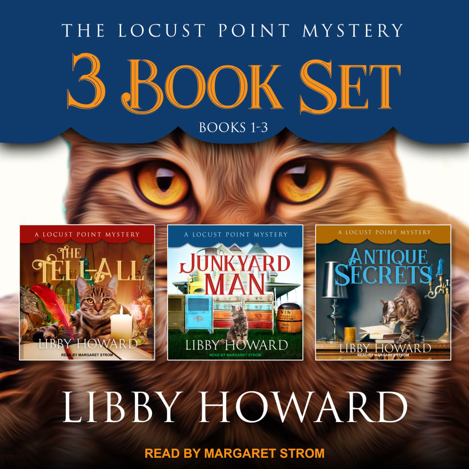 Locust Point Mystery 3 Book Set by Libby Howard - Audiobook