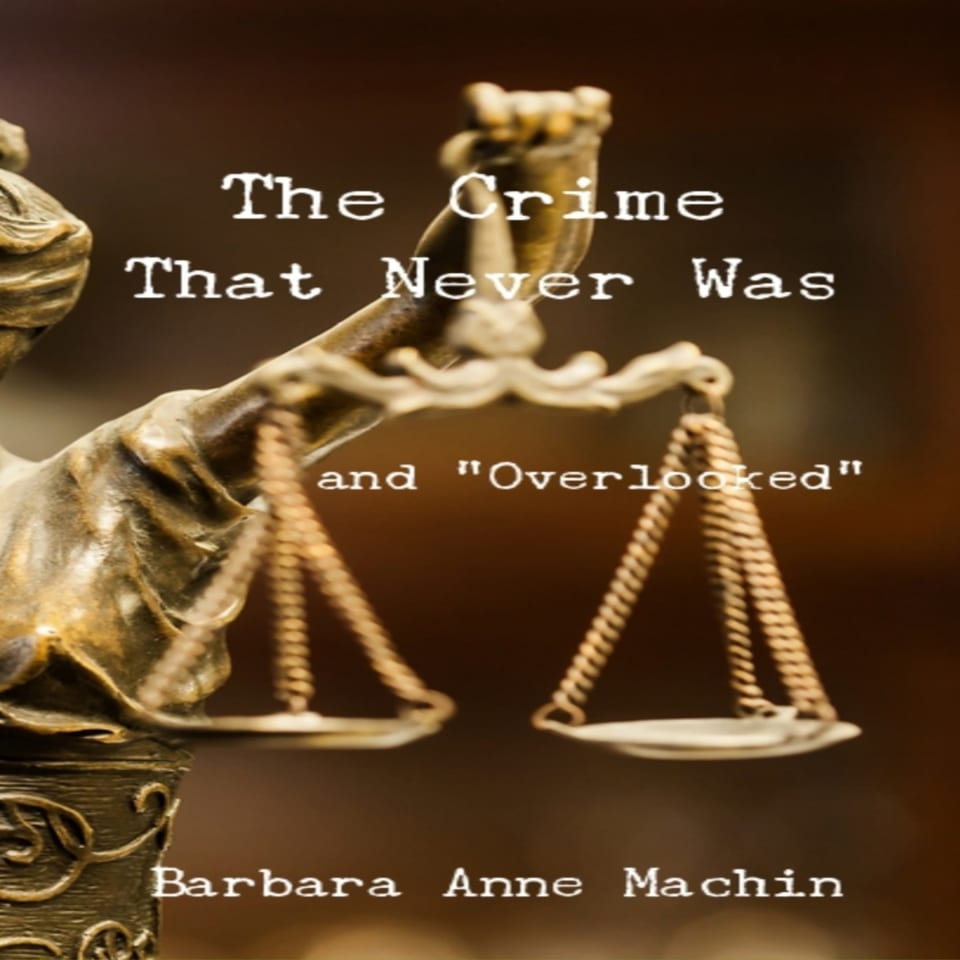 The Crime That Never Was by Barbara Anne Machin - Audiobook