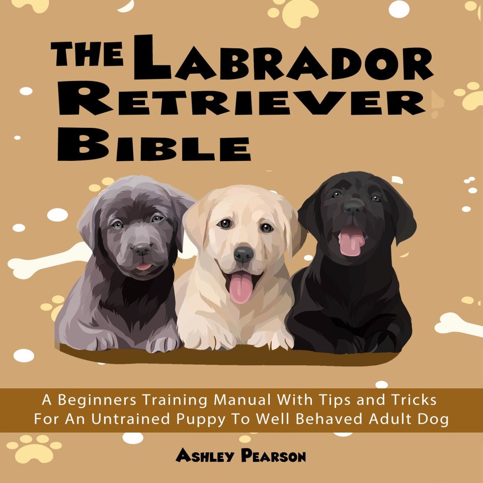 The Labrador Retriever Bible - A Beginners Training Manual With Tips ...