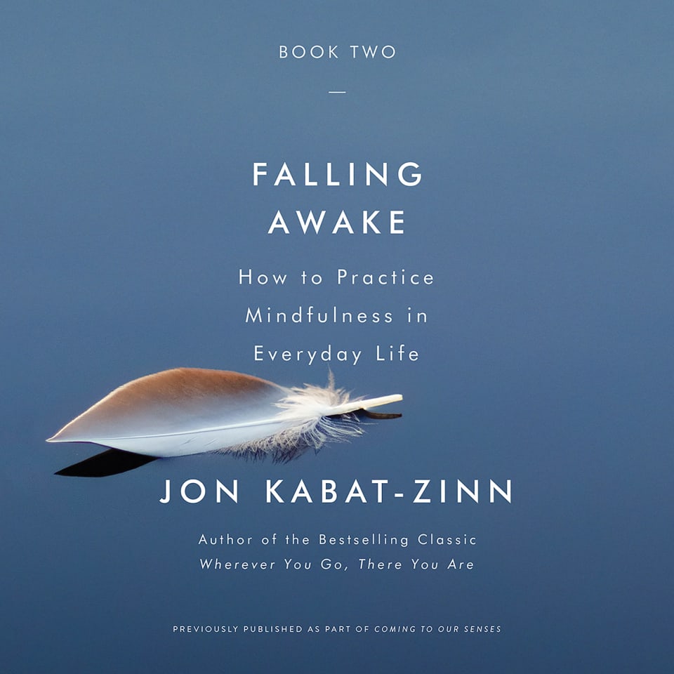 Falling Awake by Jon Kabat-Zinn - Audiobook