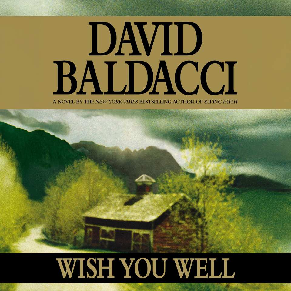 Wish You Well by David Baldacci - Audiobook