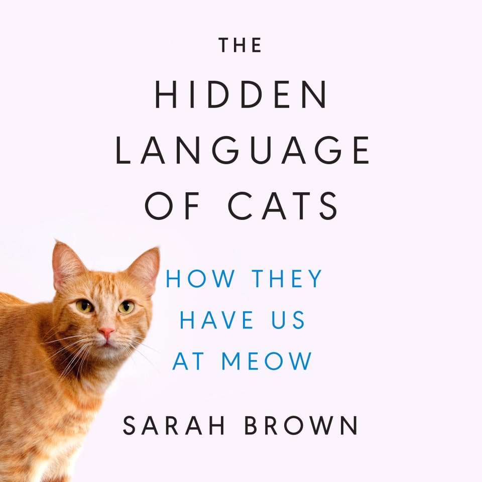 The Hidden Language of Cats by Sarah Brown PhD - Audiobook
