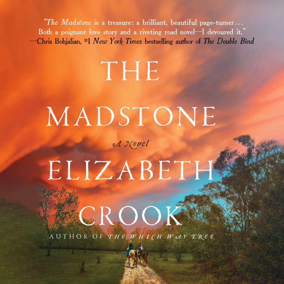 The Madstone by Elizabeth Crook - Audiobook