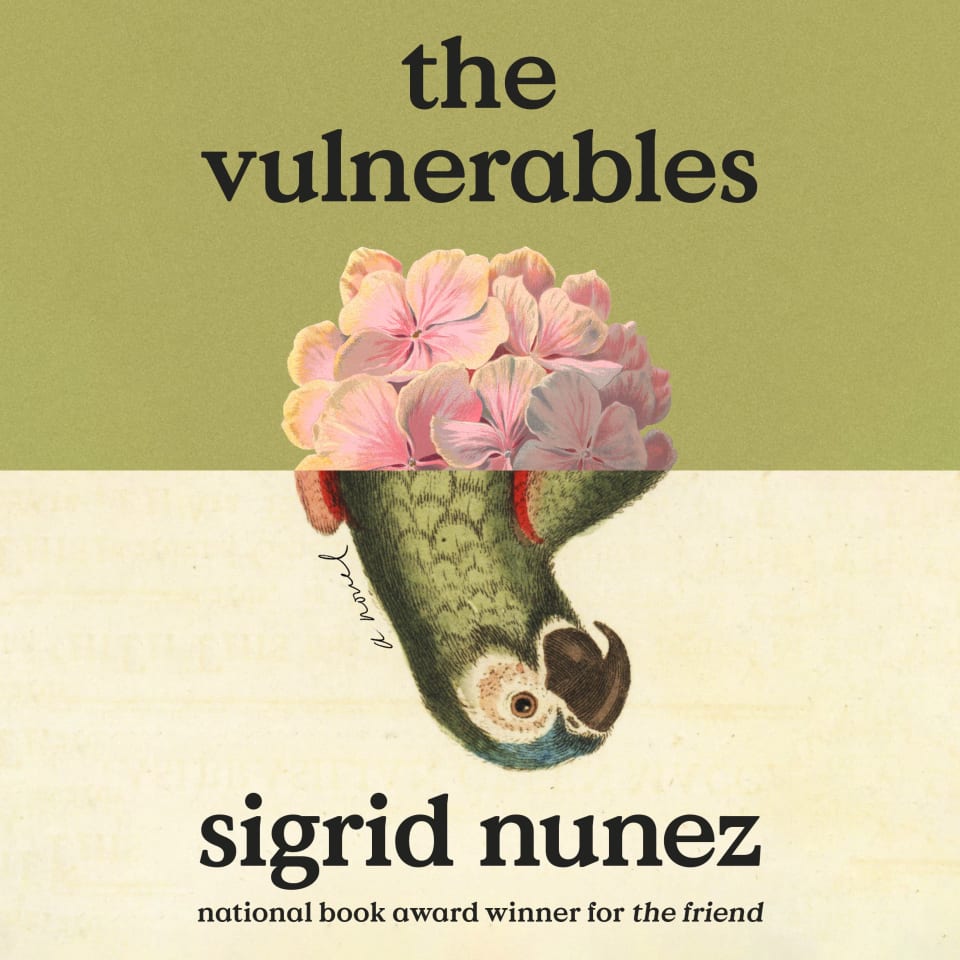 The Vulnerables by Sigrid Nunez - Audiobook