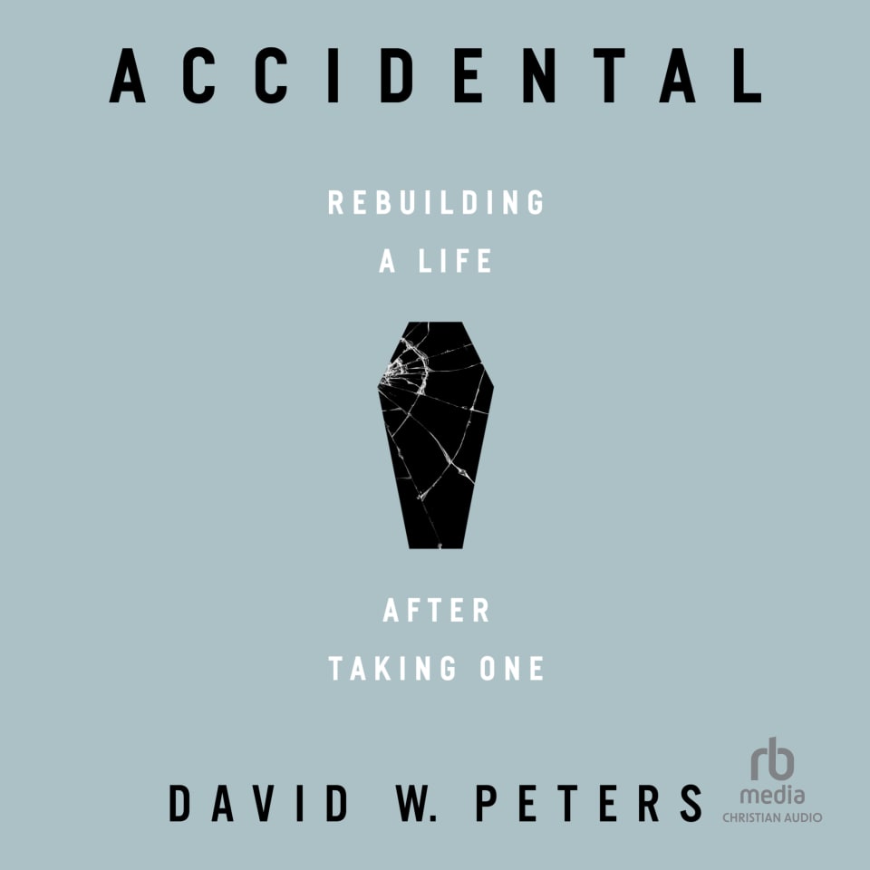 Accidental by David W. Peters - Audiobook