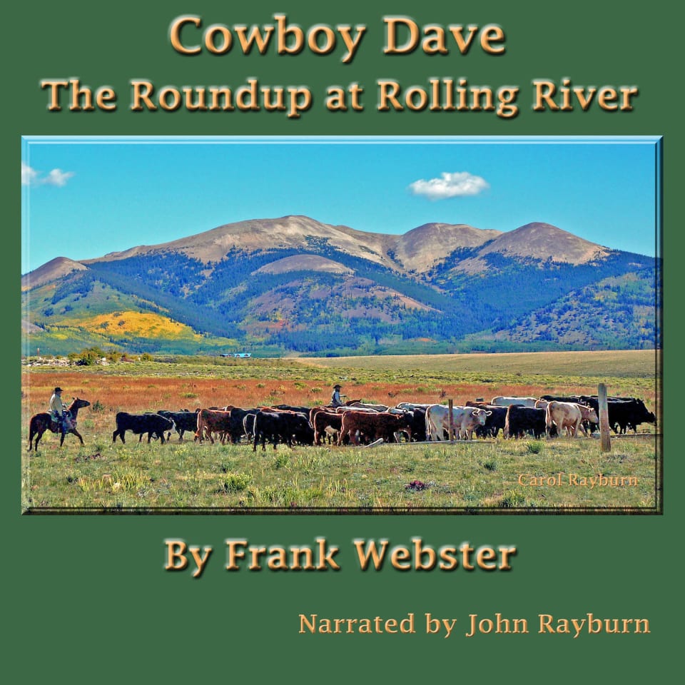 Cowboy Dave by Frank Webster - Audiobook