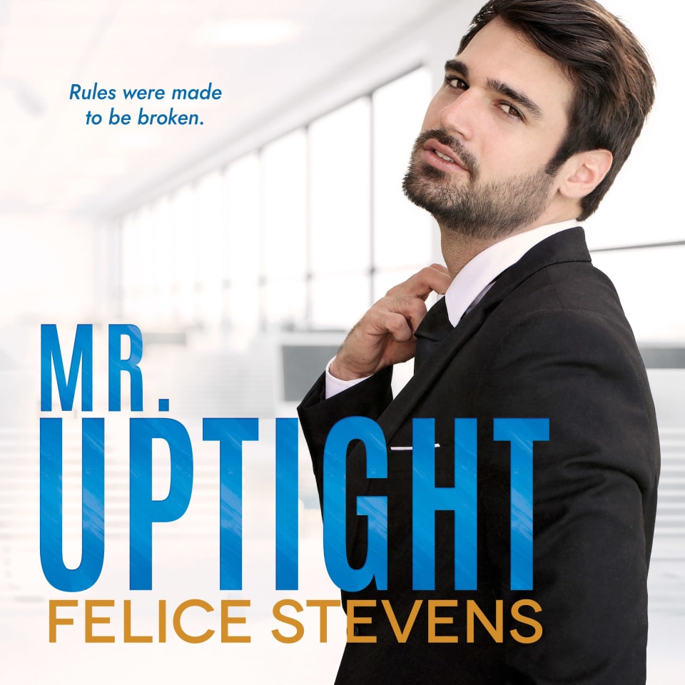 Mr. Uptight by Felice Stevens - Audiobook
