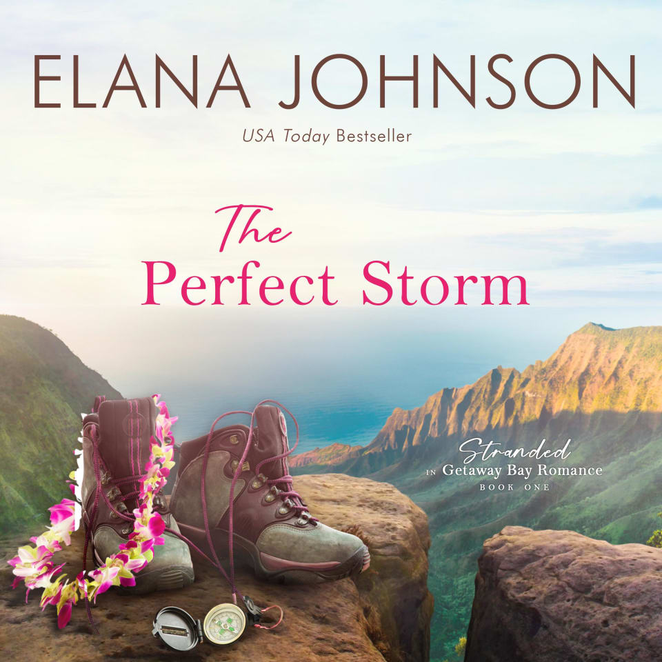 The Perfect Storm by Elana Johnson - Audiobook