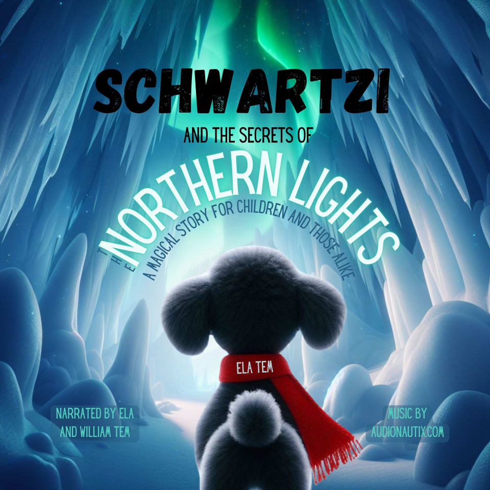 Schwartzi and the Secrets of the Northern Lights by Ela Tem - Audiobook