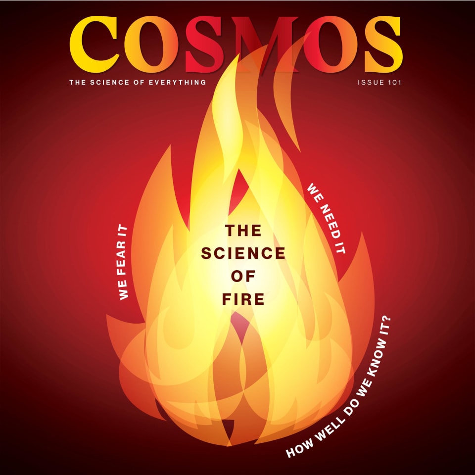 Cosmos Issue 101 by The Royal Institution of Australia - Audiobook