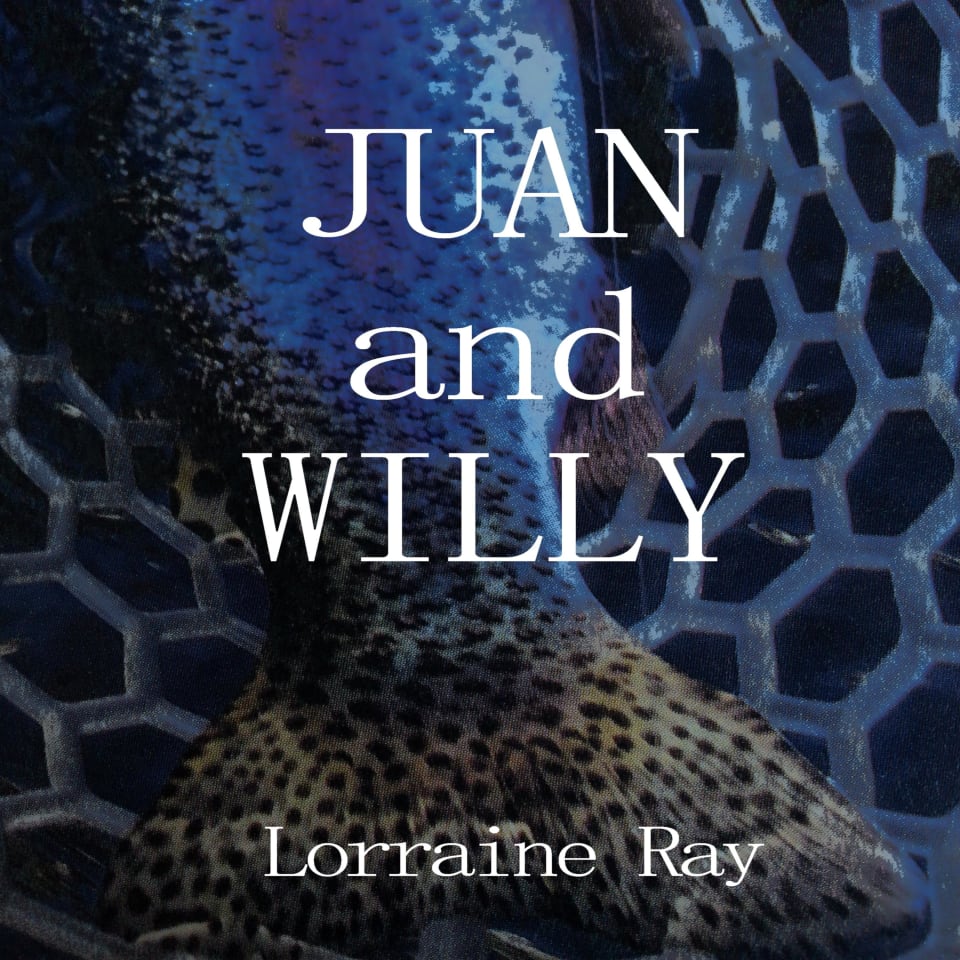Juan and Willy by Lorraine Ray - Audiobook