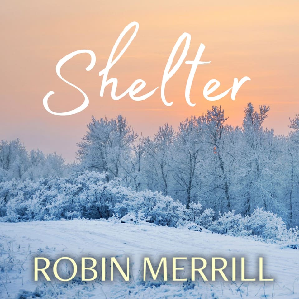 Shelter by Robin Merrill - Audiobook
