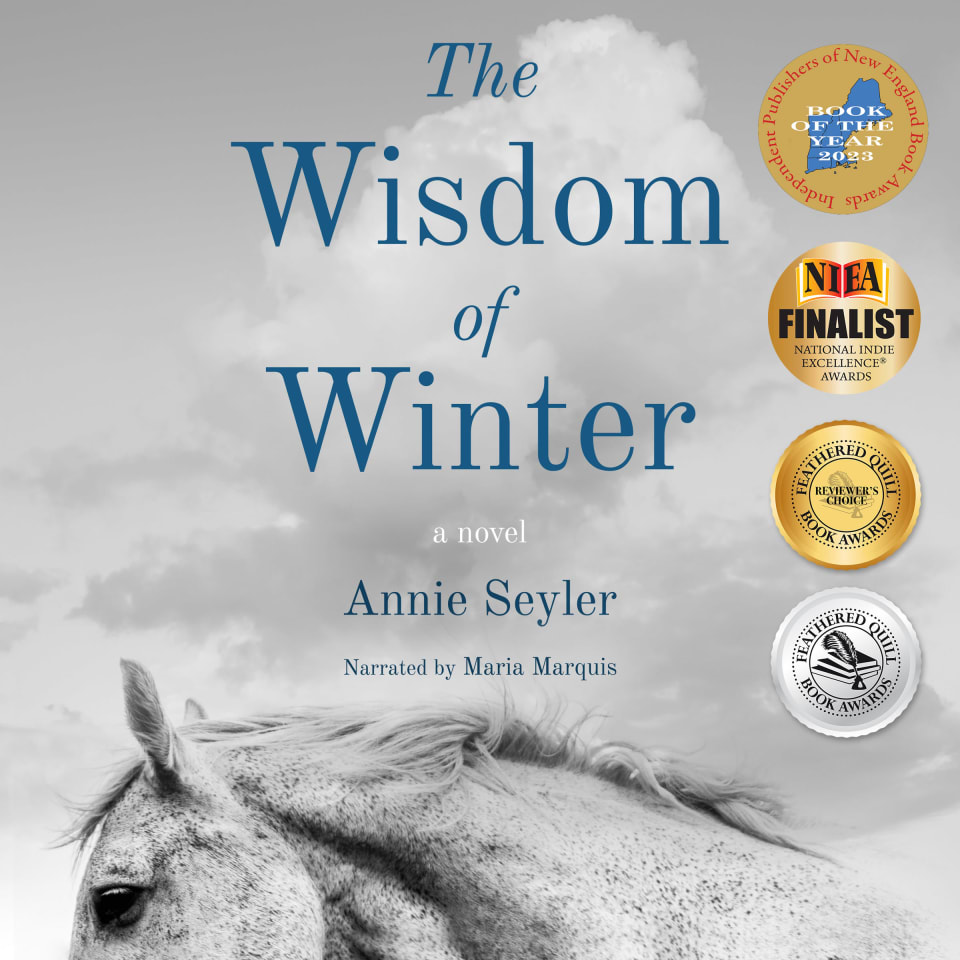 The Wisdom of Winter by Annie Seyler - Audiobook