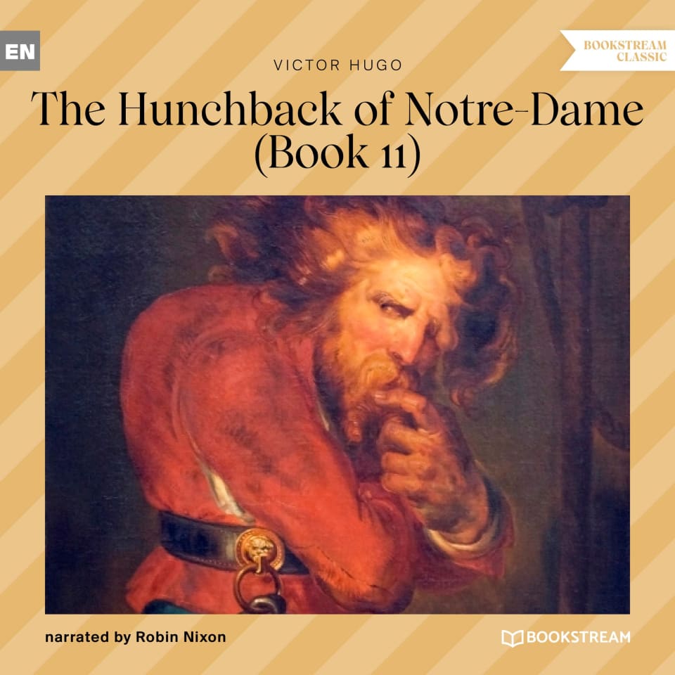The Hunchback of Notre-Dame, Book 11 (Unabridged) by Victor Hugo ...