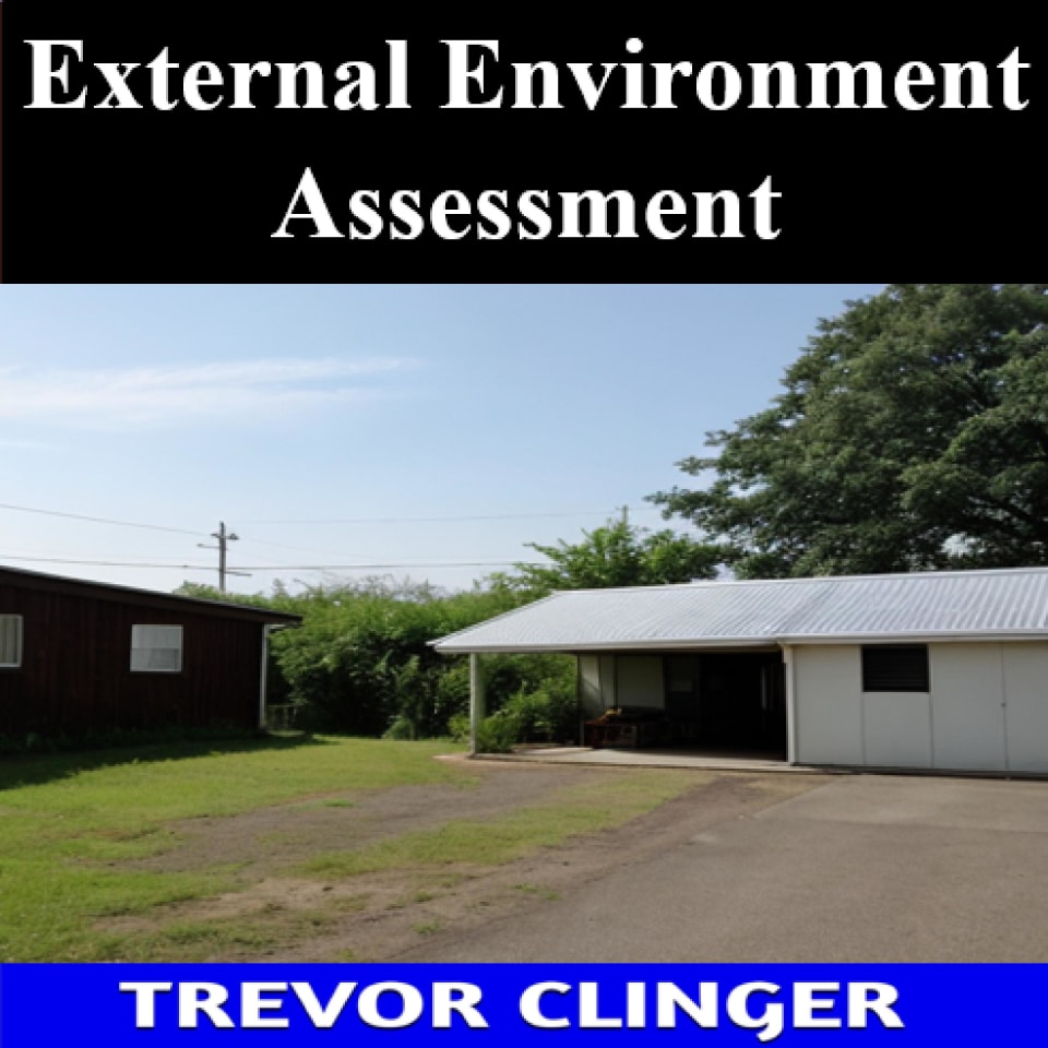 External Environment Assessment by Trevor Clinger - Audiobook