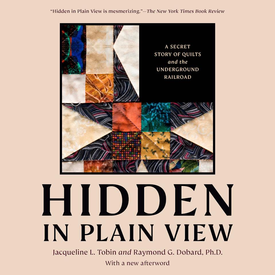 Hidden in Plain View by Collected Authors - Audiobook