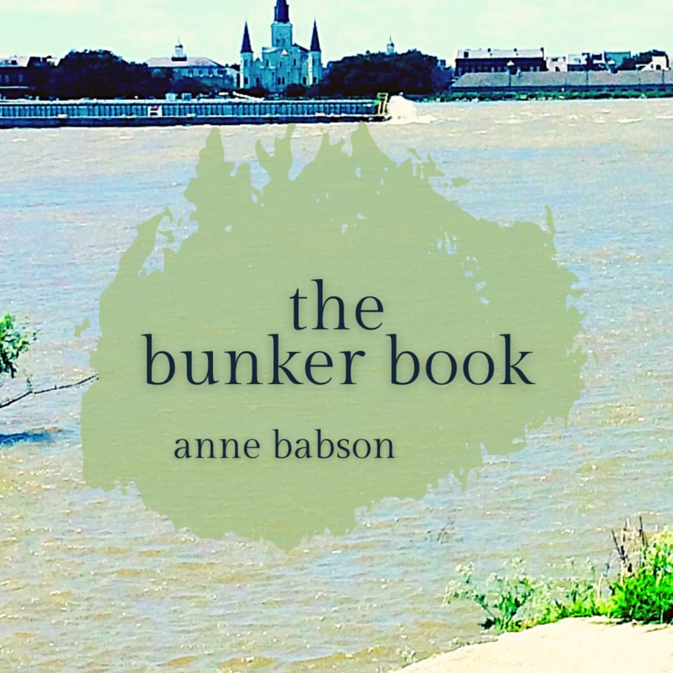 The Bunker Book by Anne Babson - Audiobook