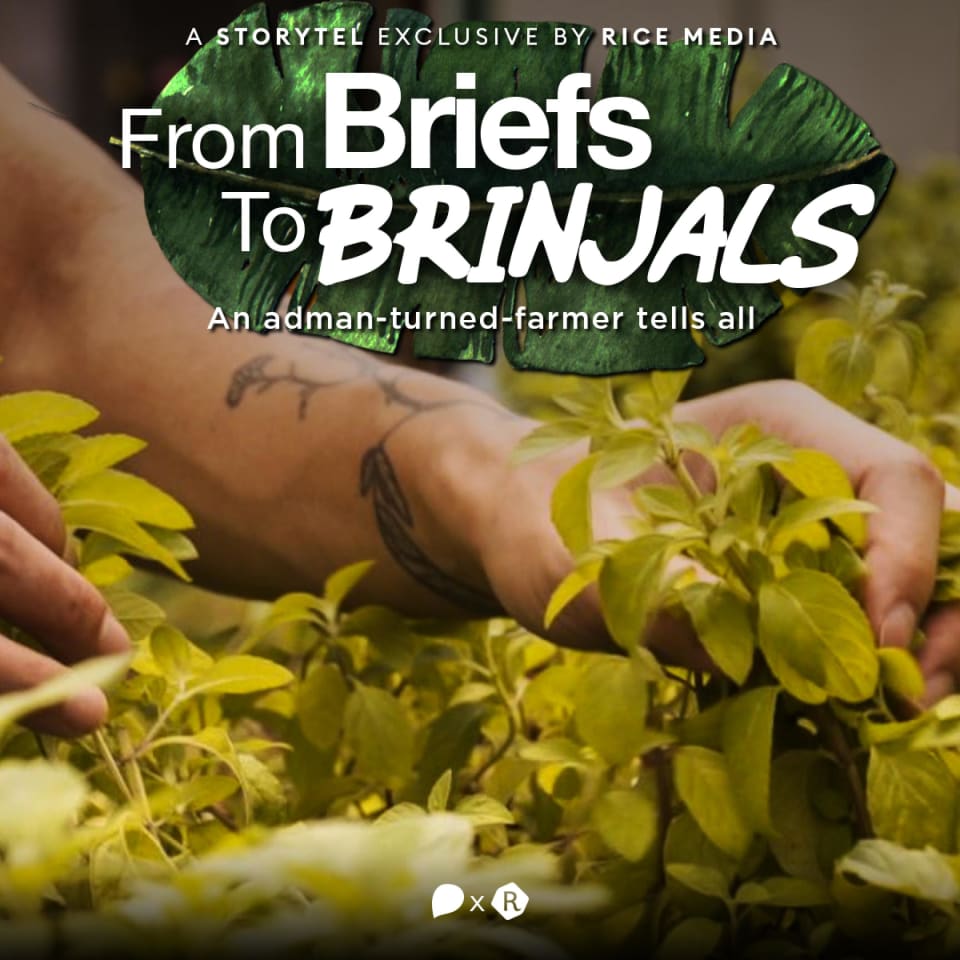 The Madman Who Left His 5-figure Advertising Job To Become A Farmer by ...