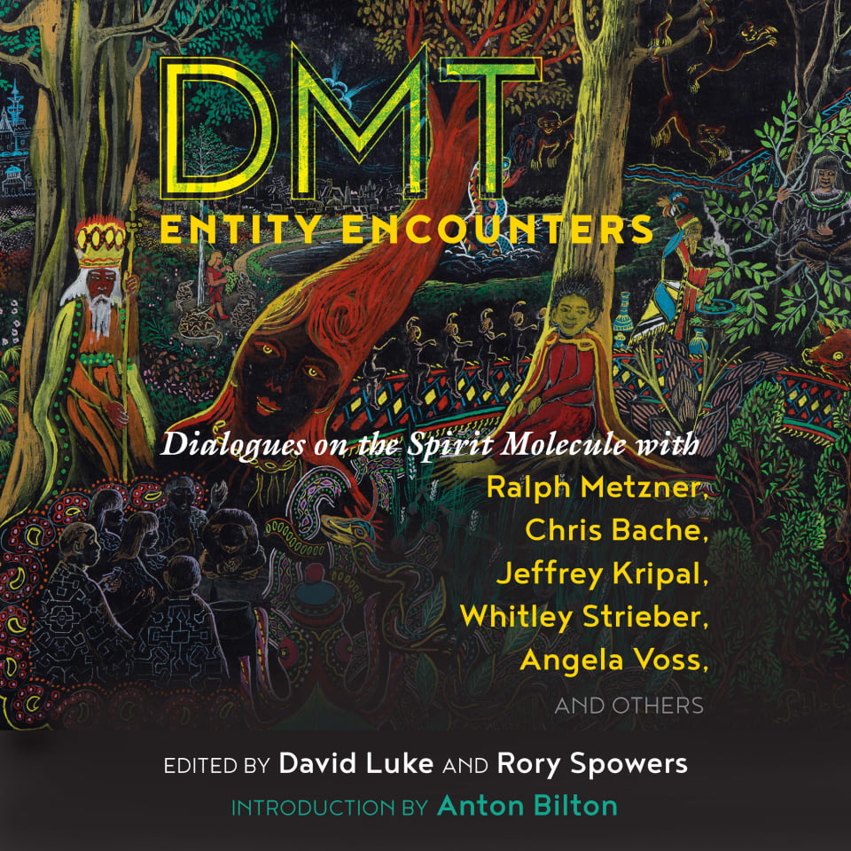 DMT Entity Encounters by Anton Bilton - Audiobook