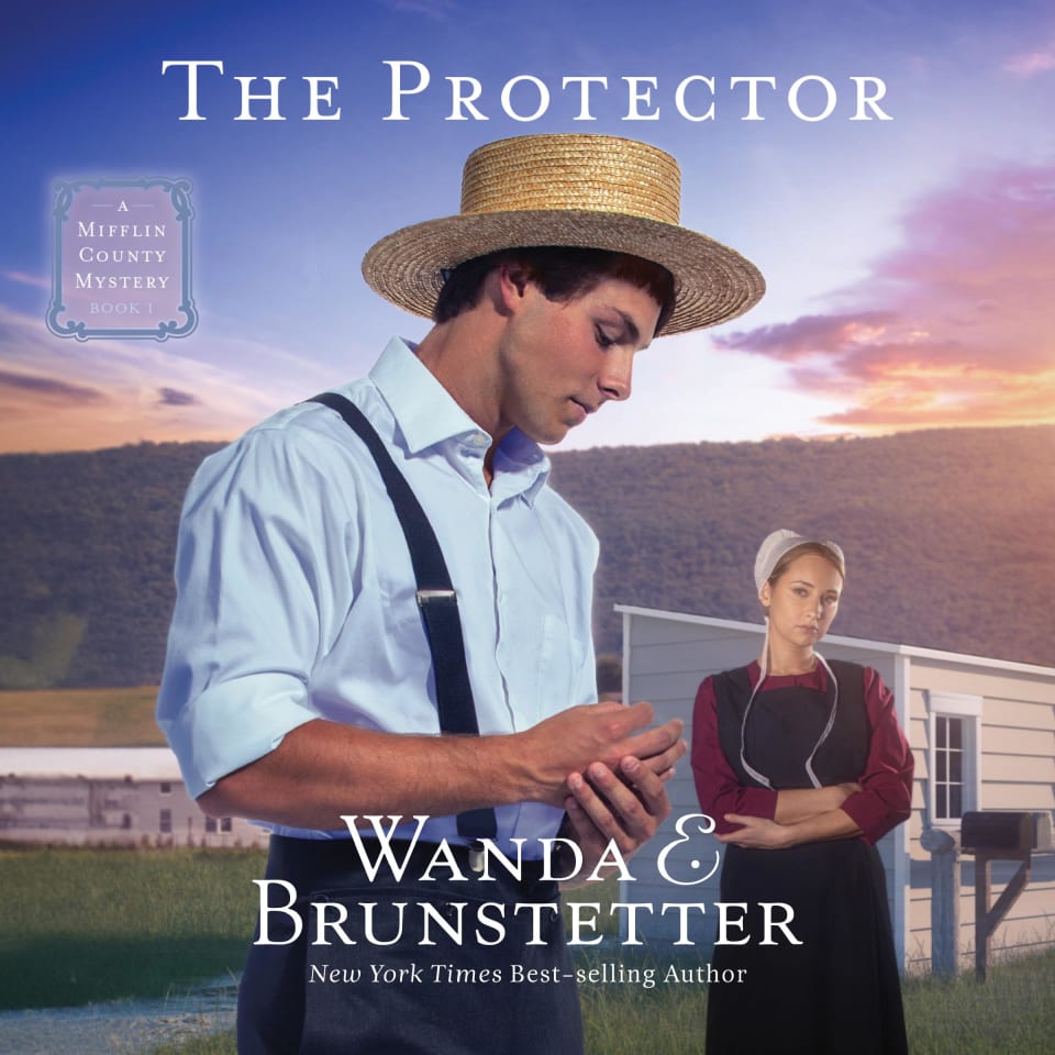 The Protector by Wanda E. Brunstetter - Audiobook