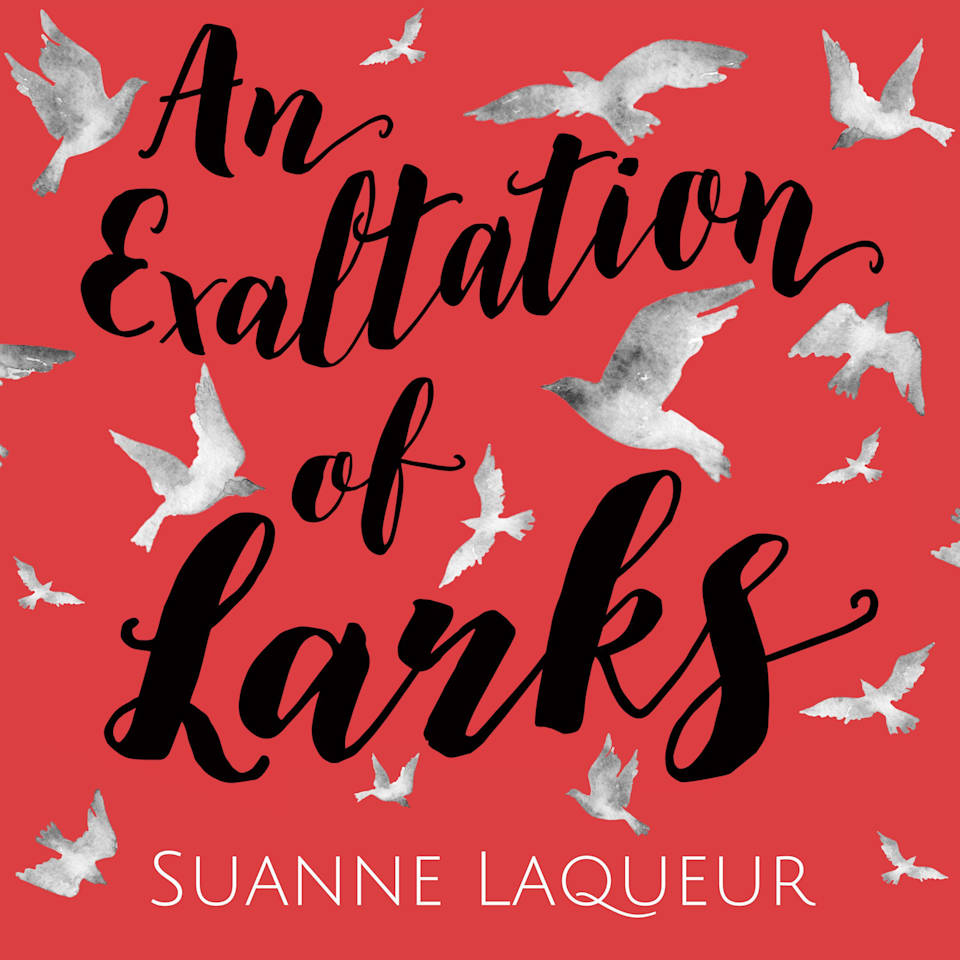 An Exaltation of Larks by Suanne Laqueur - Audiobook