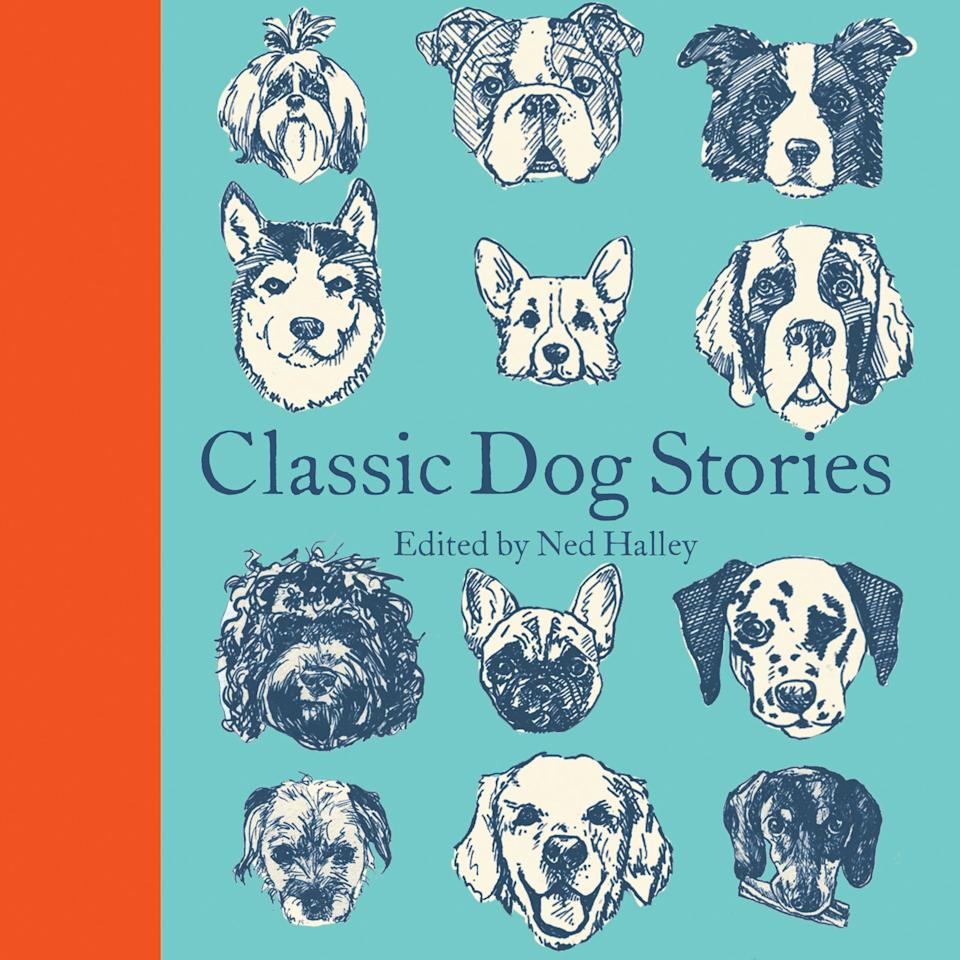 Classic Dog Stories by Ned Halley - Audiobook
