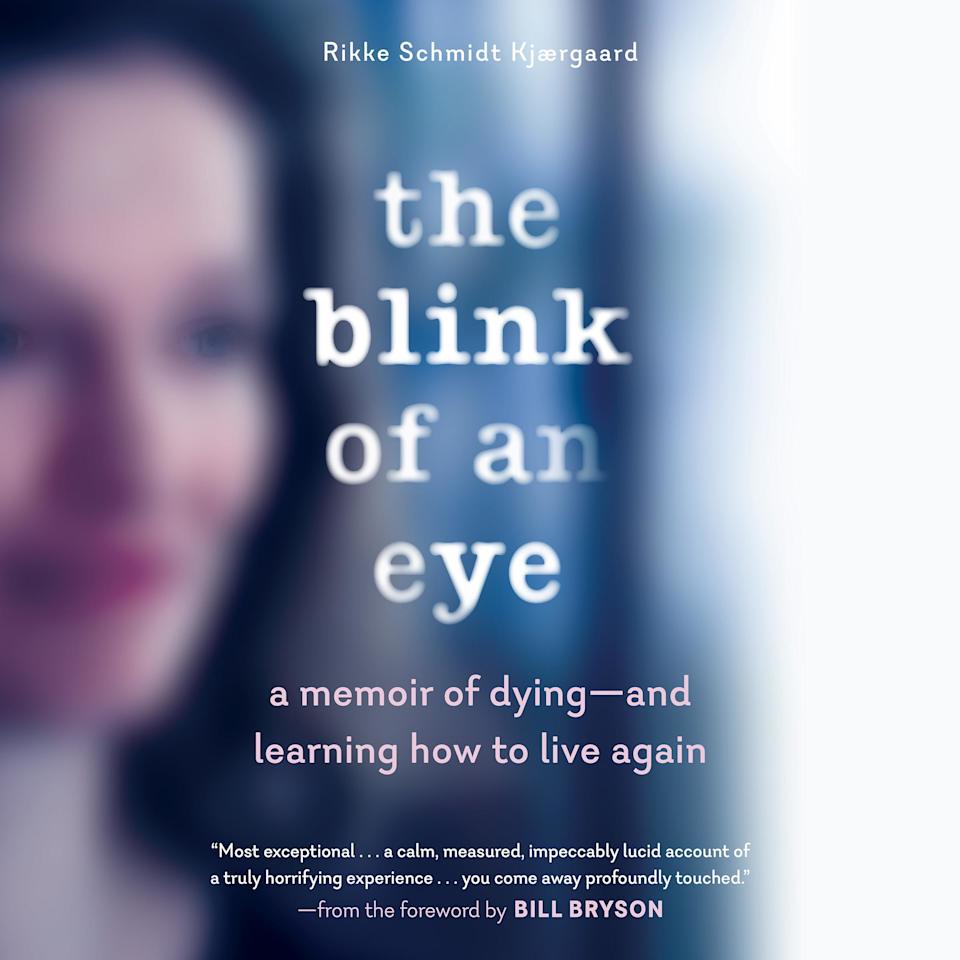 The Blink of an Eye by Bill Bryson & Rikke Schmidt Kjærgaard - Audiobook