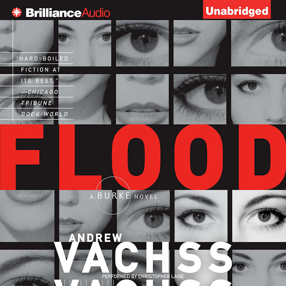 Flood by Andrew Vachss - Audiobook