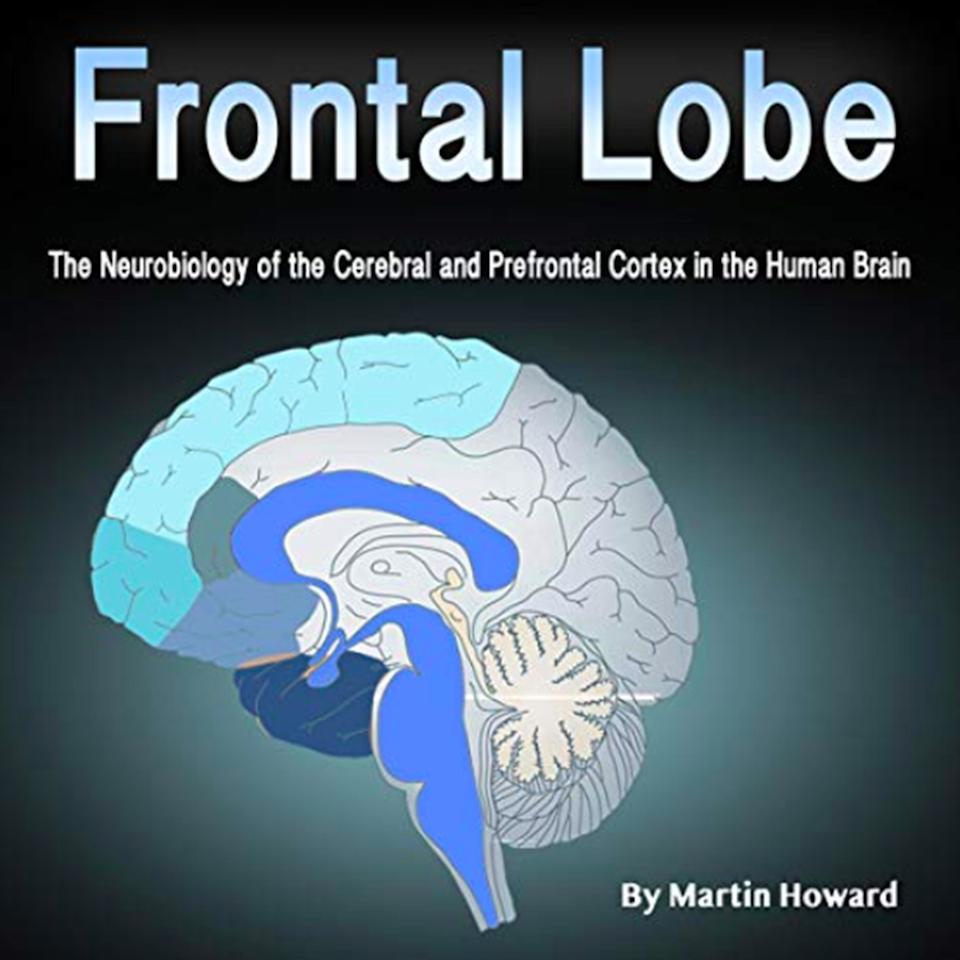Frontal Lobe by Martin Howard - Audiobook (No Subscription)