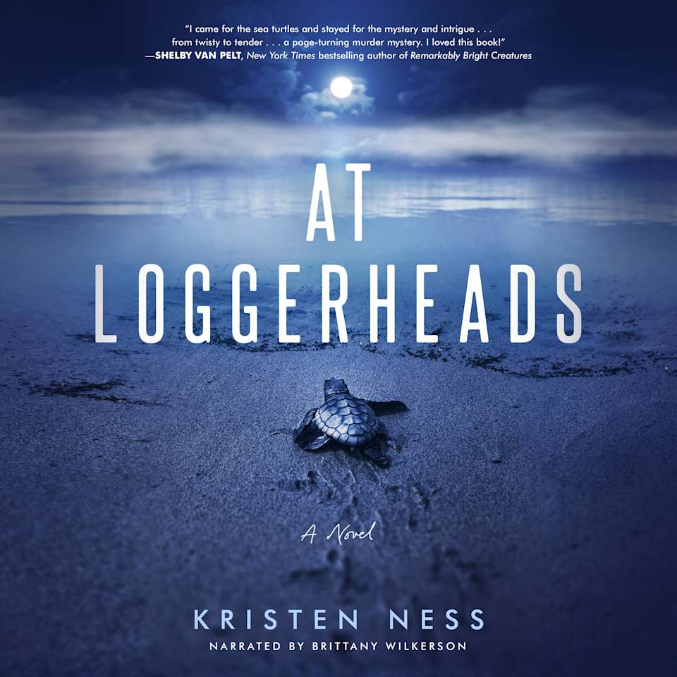 AT LOGGERHEADS by Kristen Ness - Audiobook