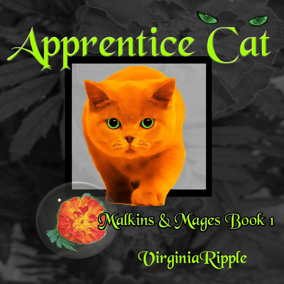 Apprentice Cat by Virginia Ripple - Audiobook