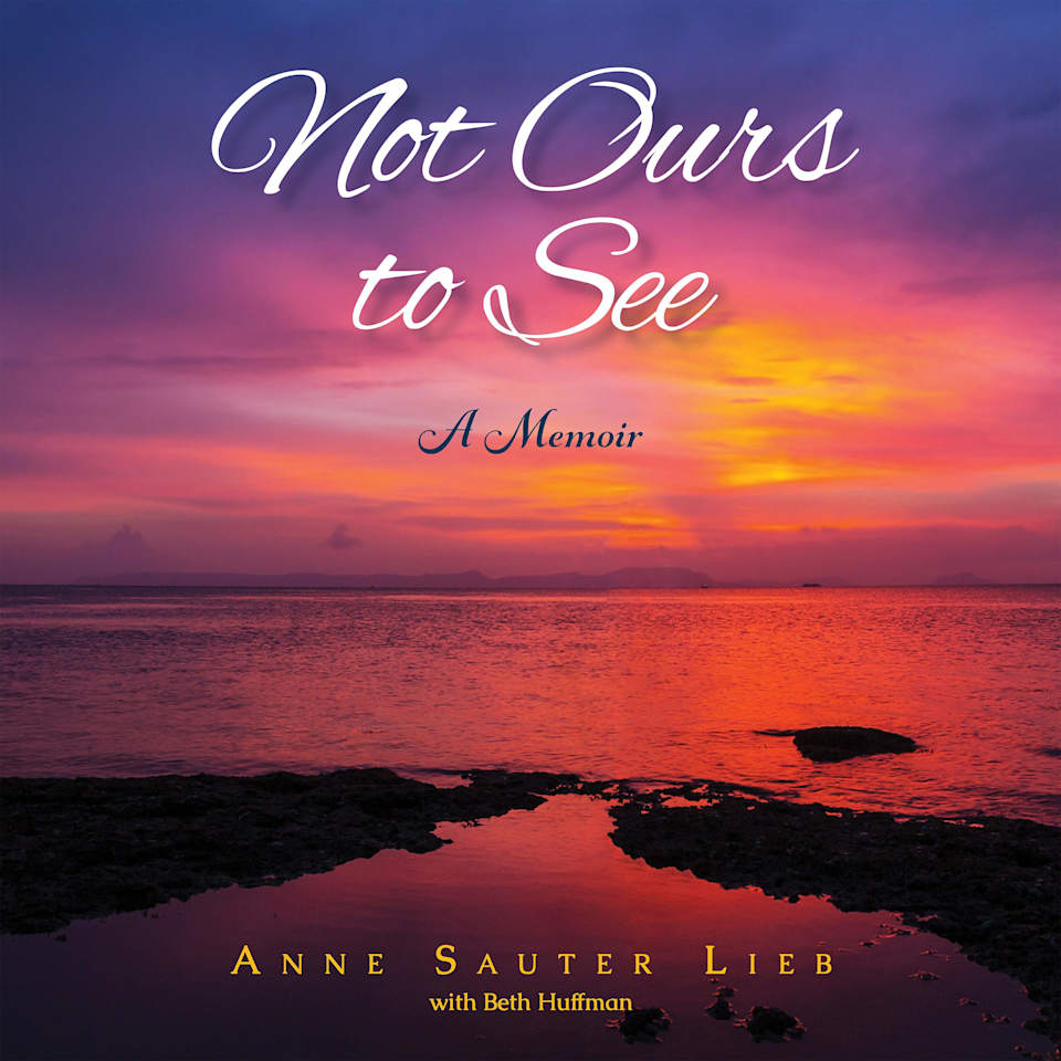 Not Ours To See by Anne Sauter Lieb & Beth Huffman - Audiobook