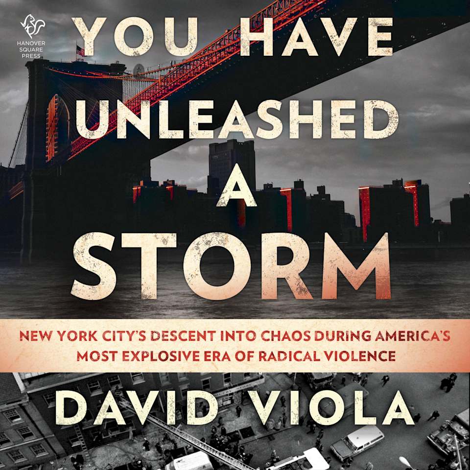 You Have Unleashed a Storm by David Viola - Audiobook