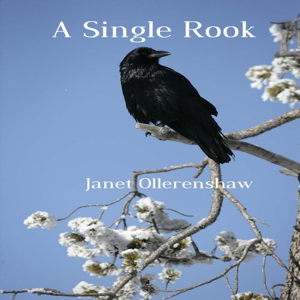 A Single Rook by Janet Ollerenshaw - Audiobook