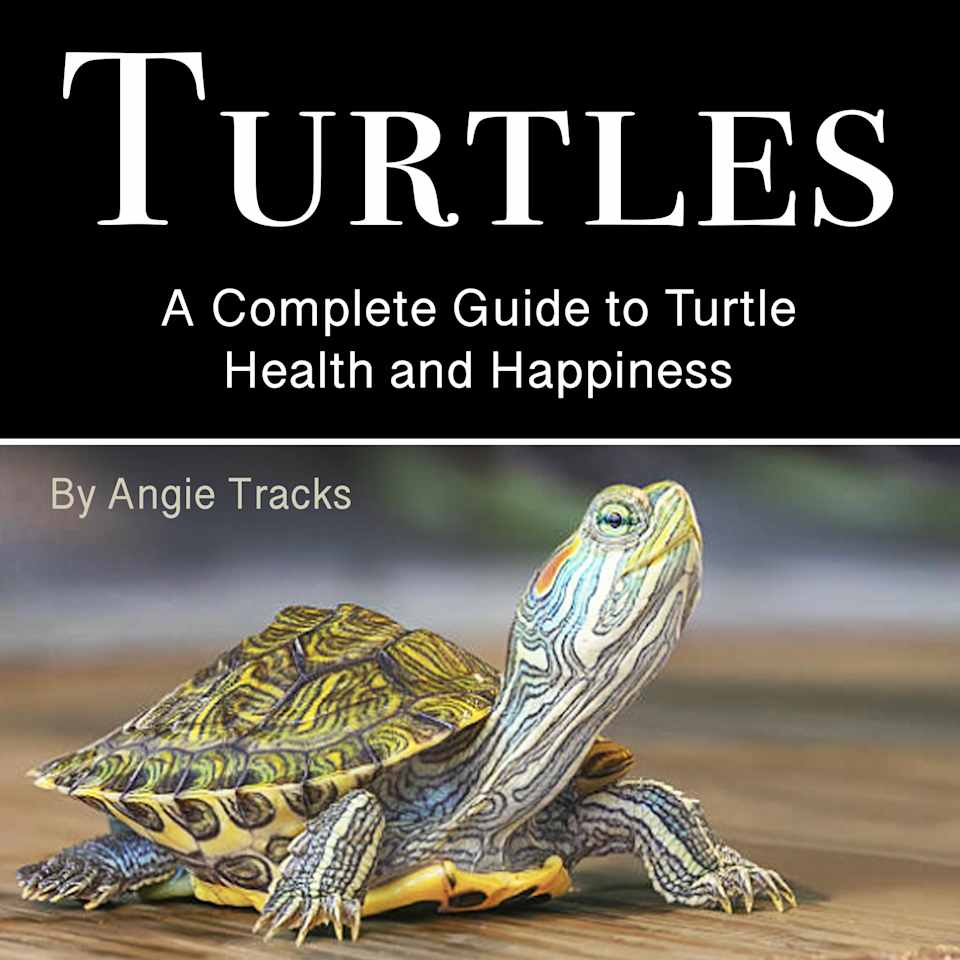 Turtles by Angie Tracks - Audiobook