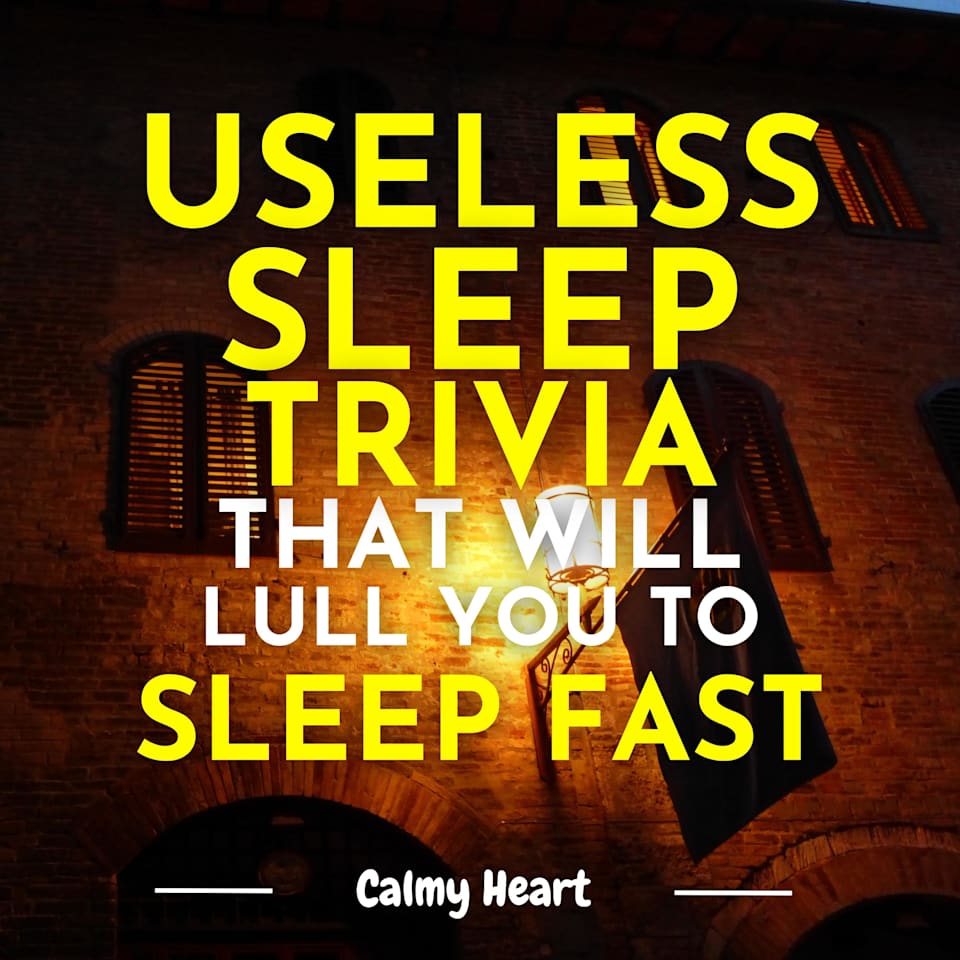 Useless Sleep Trivia That Will Lull You to Sleep Fast by Calmy Heart ...
