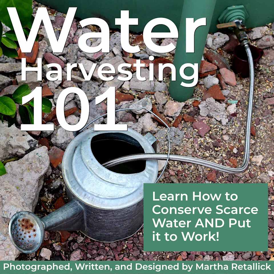 Water Harvesting 101 by Martha Jean Retallick - Audiobook