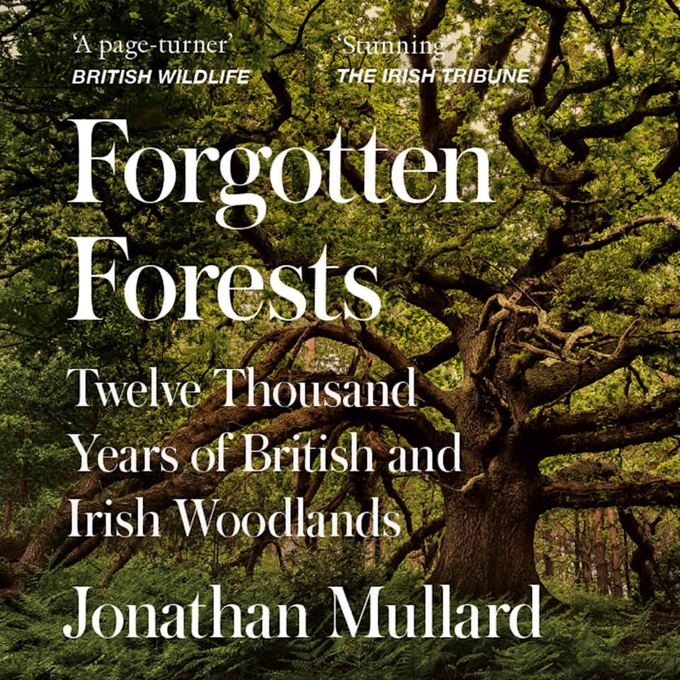 Forgotten Forests: Twelve Thousand Years of British and Irish Woodlands ...