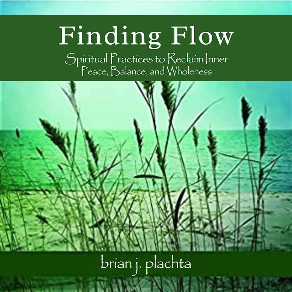 Finding Flow by Brian J. Plachta - Audiobook